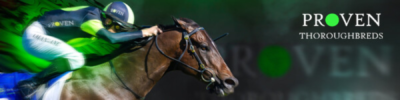 Proven Thoroughbreds | Invigorating Horse Report